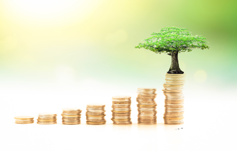 Seeding the Seed Funds! – NDM Advisors LLP