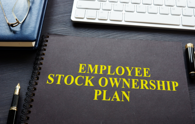 Understanding Difference Between ESOP and PSOP – NDM Advisors LLP